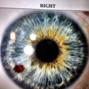 Frequently Asked Questions | GrapeGate