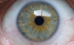 Frequently Asked Questions | GrapeGate